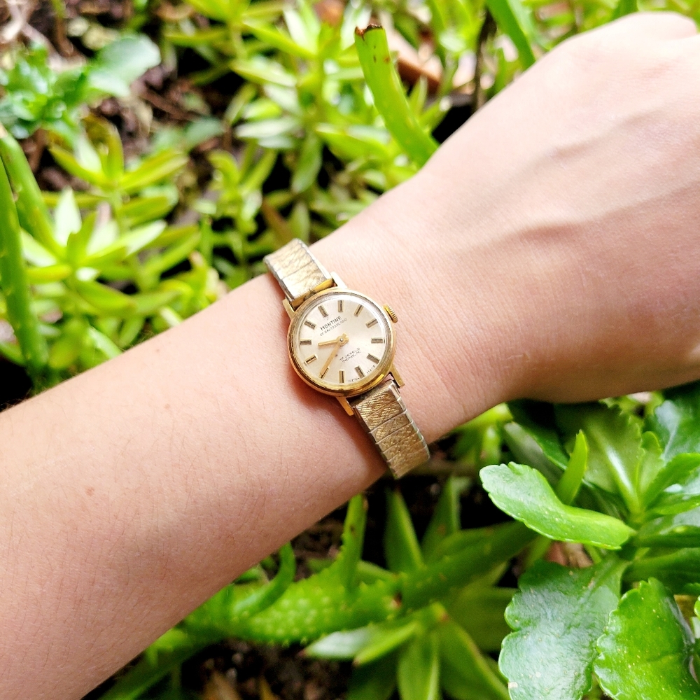 Vintage Swiss Montine 17 Jewels Incablox Gold Classic… - Gem